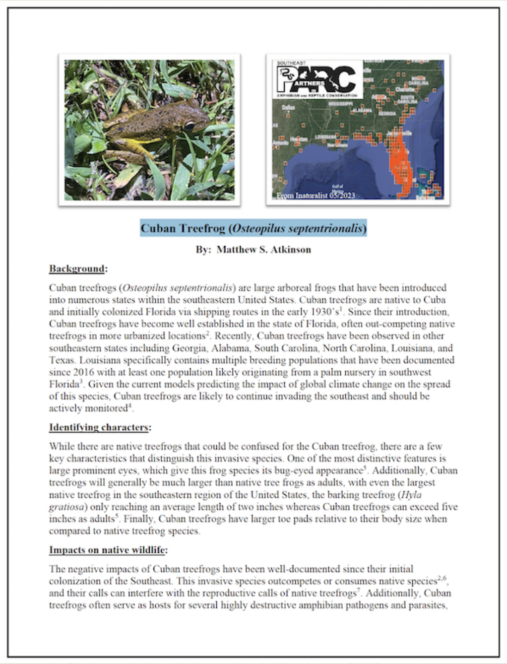Cuban Treefrog (Osteopilus septentrionalis) Fact Sheet — SEPARC